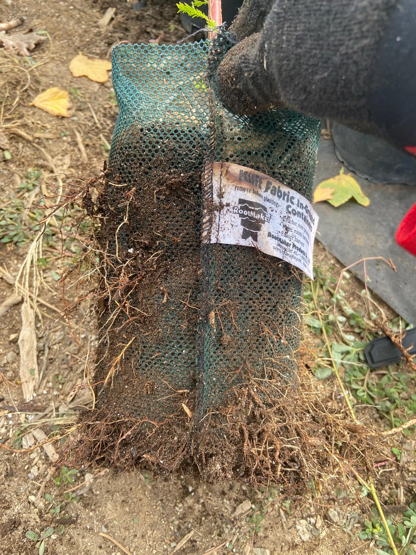 RootMaker® Fabric Bags - Growing Better Trees | Nate's Nursery